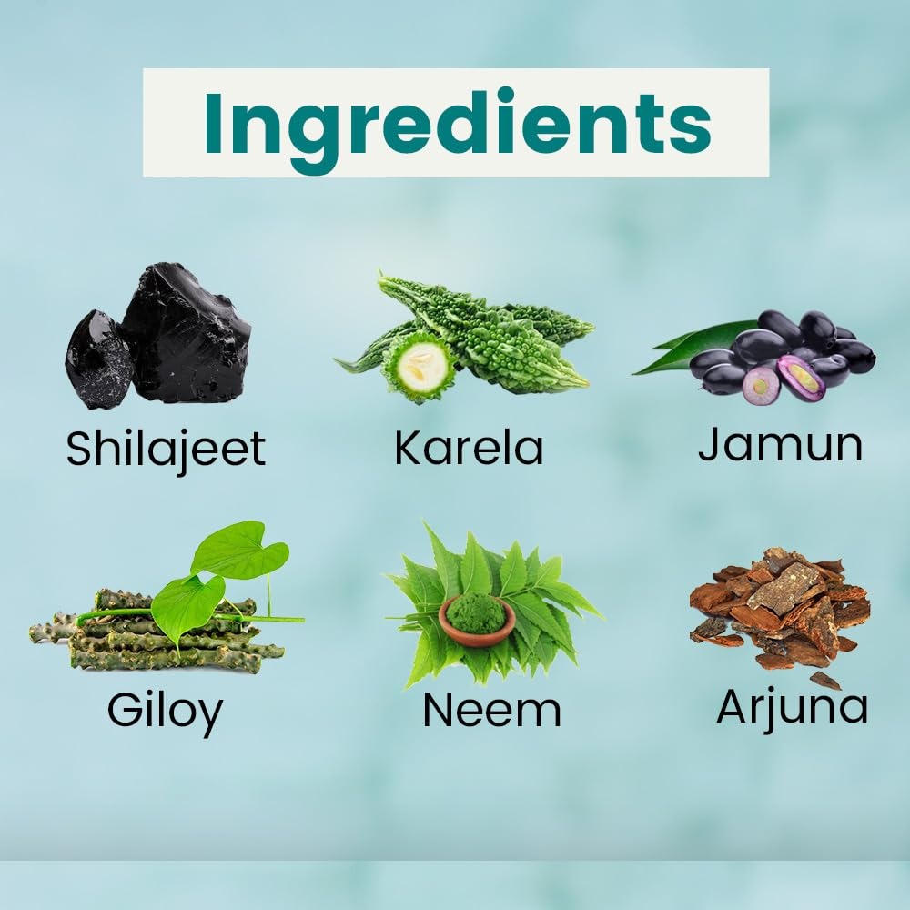Kudos Karela Jamun Powder - 200 gms – AyushKart