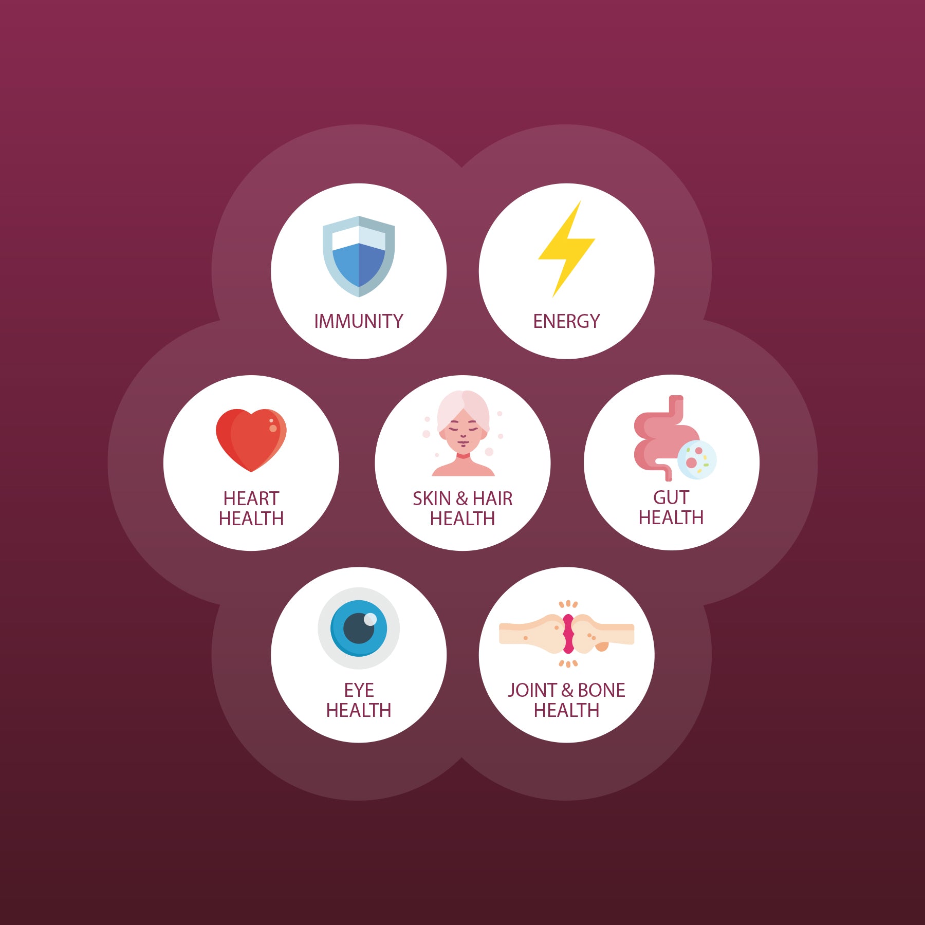 Nature Ally Gold Multivitamin for Women Over 50 - 60 tabs – AyushKart